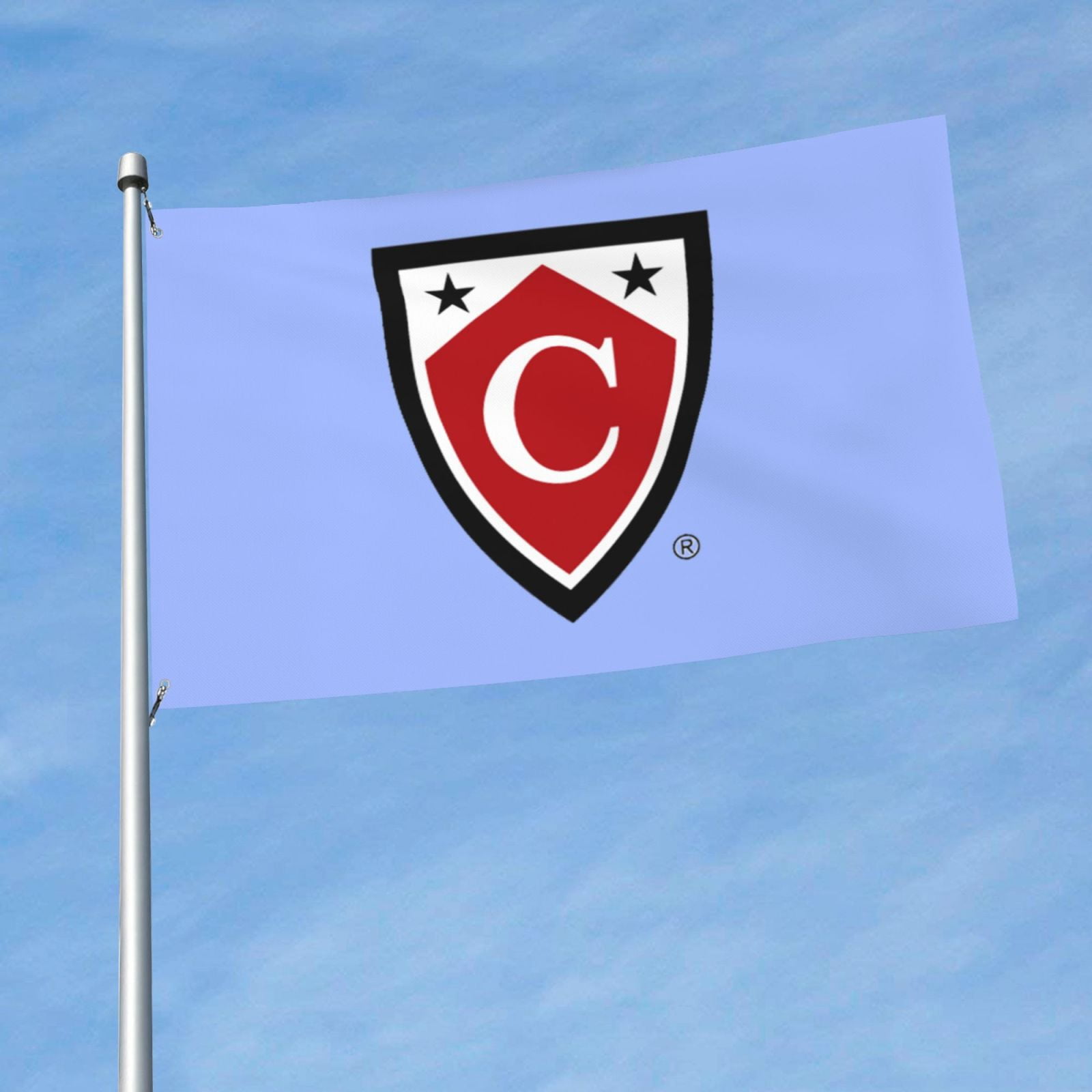 Capella University Logo Flag 3x5 Outdoor ,Sewn Stripes, Stronger Brass ...