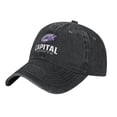 Capital University Baseball Cap Dad Hat Adjustable Classic Low Profile ...