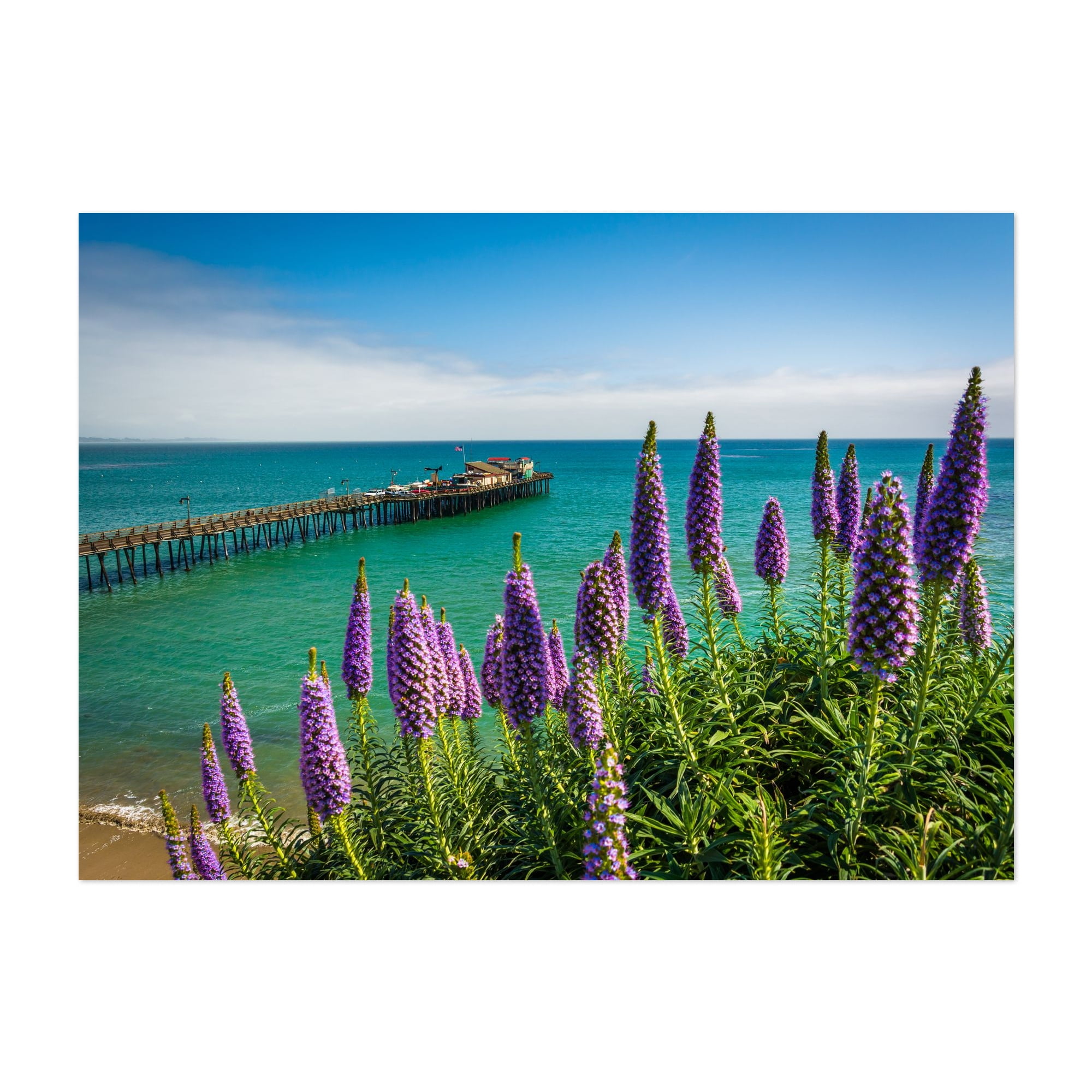 Capitola Pier - Capitola California Photography Coastal Ocean Flowers ...