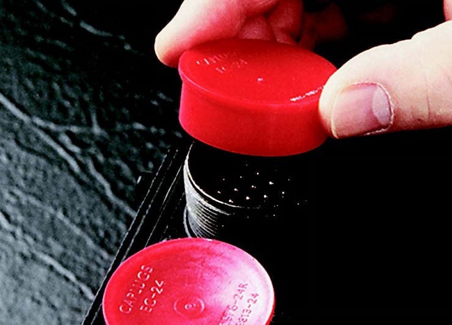 Caplugs EC-36 Red Plugs for Threaded Connectors - Walmart.com