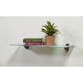 Capri 8x24 Frosted Shelf Kit with Pelican Brackets - Walmart.com
