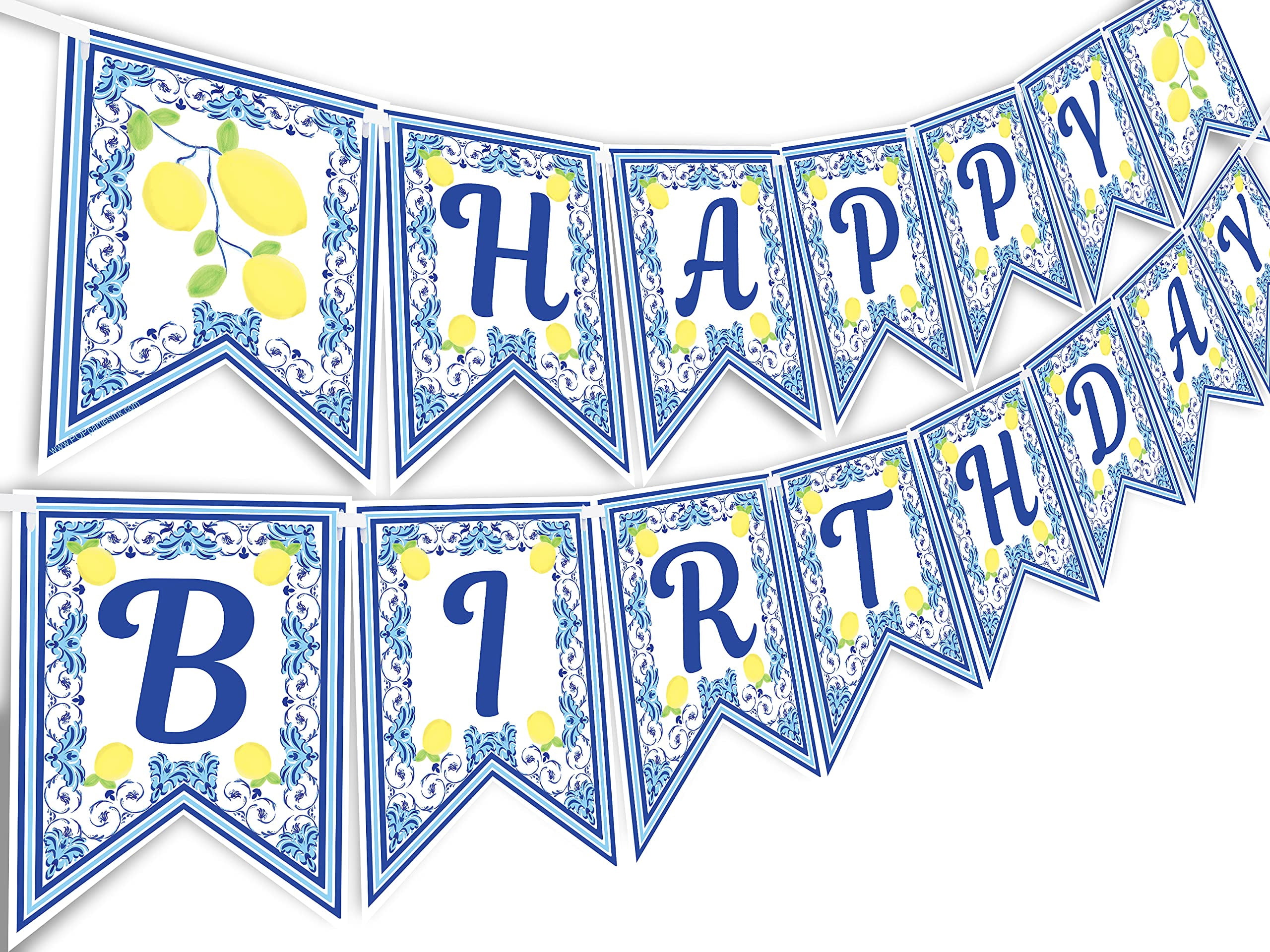 Capri Lemon HappyEGSC Birthday Banner - 40th 50th 60th Birthday Party ...