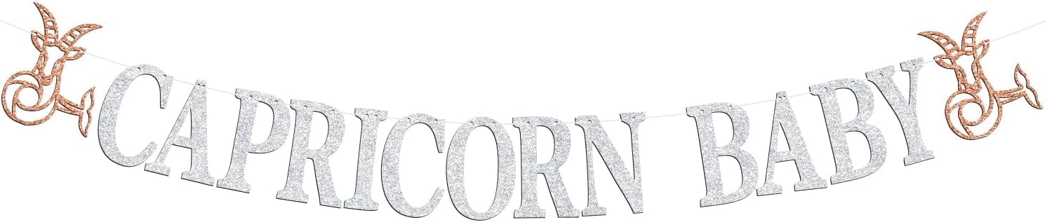 Capricorn Baby Banner, 12 Constellation Zodiac Capricorn, Horoscope ...