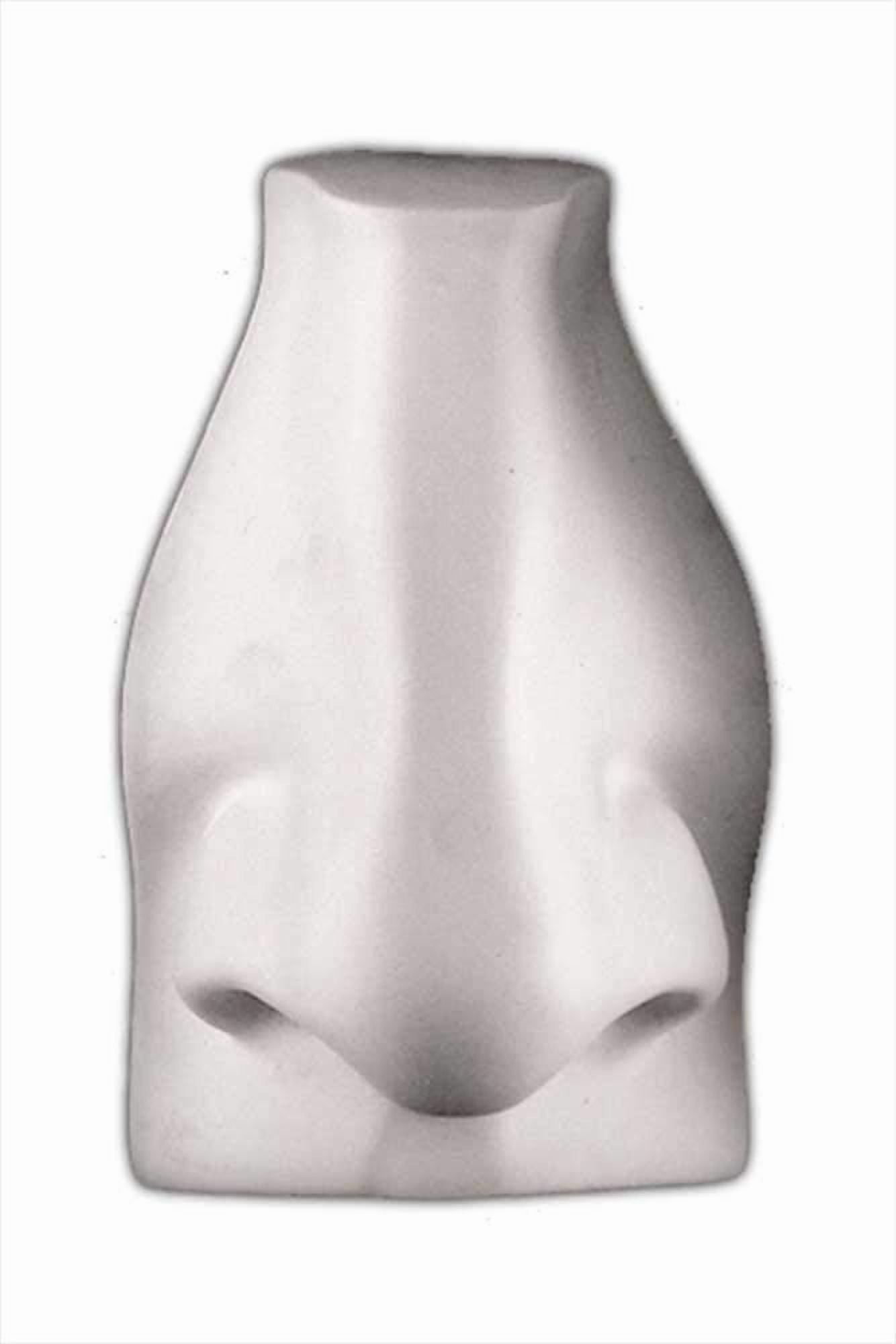 Caproni Collection Plaster Cast Sculpture of David's Nose Full-Size ...