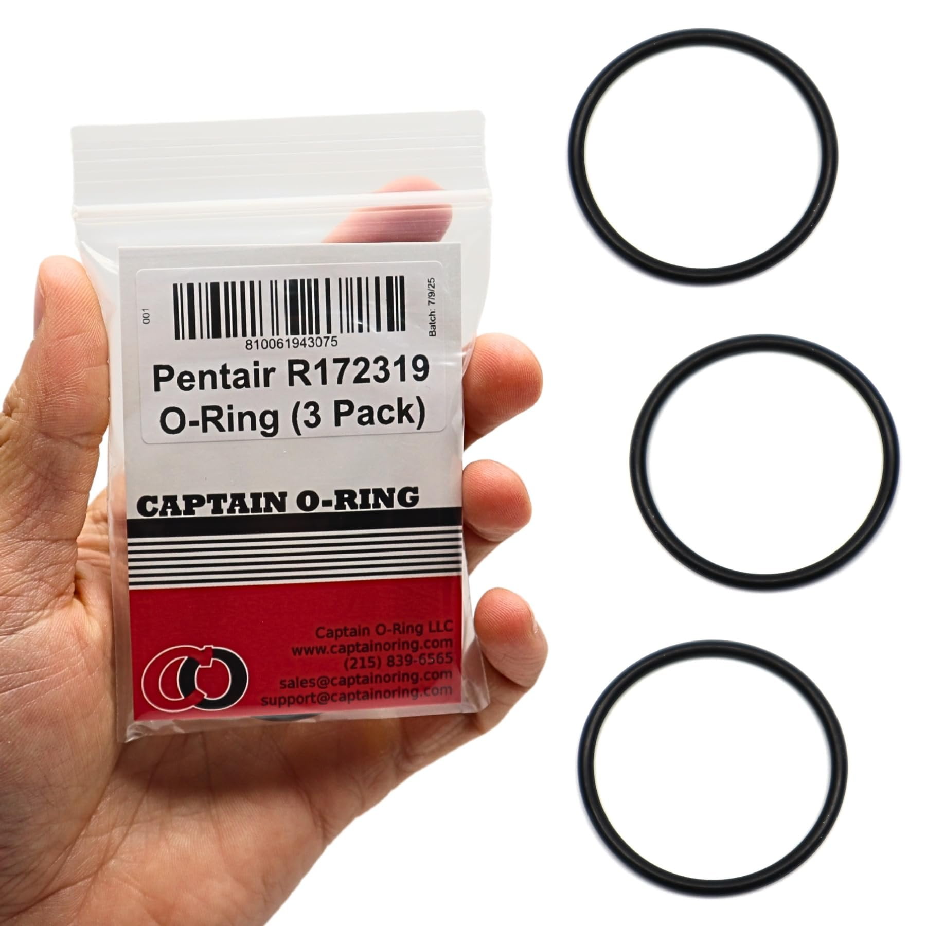 Captain O-Ring Replacement R172319 Bottom O-Rings for Pentair Rainbow ...