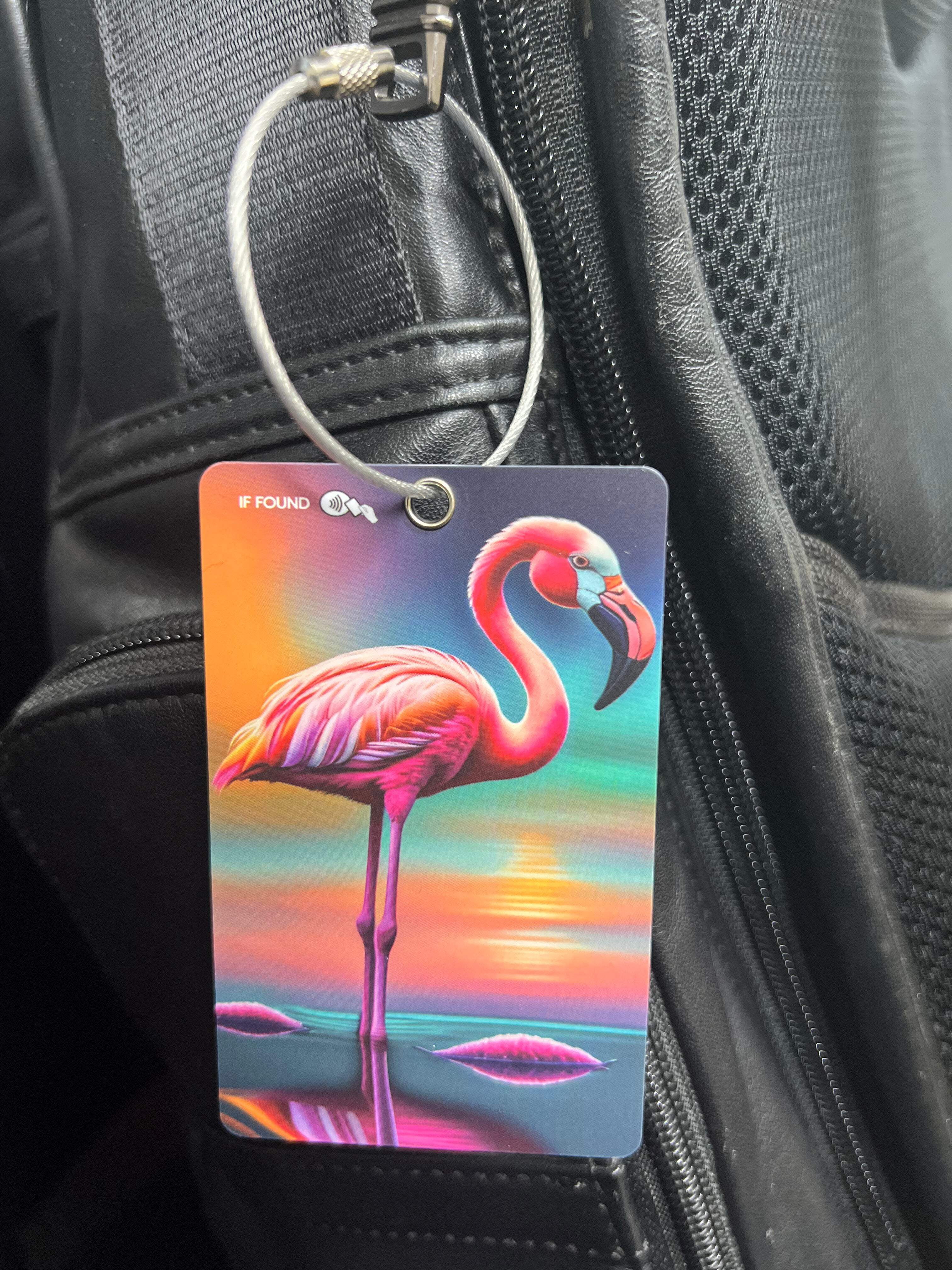Capture 360 Smart ID Tag with NFC and QR Code for Luggage and ...