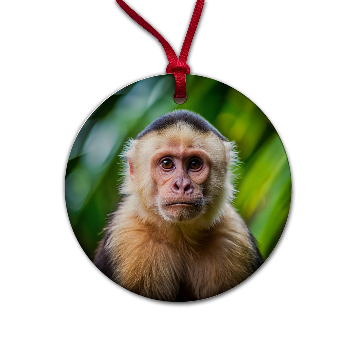 Capuchin Monkey Christmas Tree Holiday Round Ceramic Ornament - Walmart.com