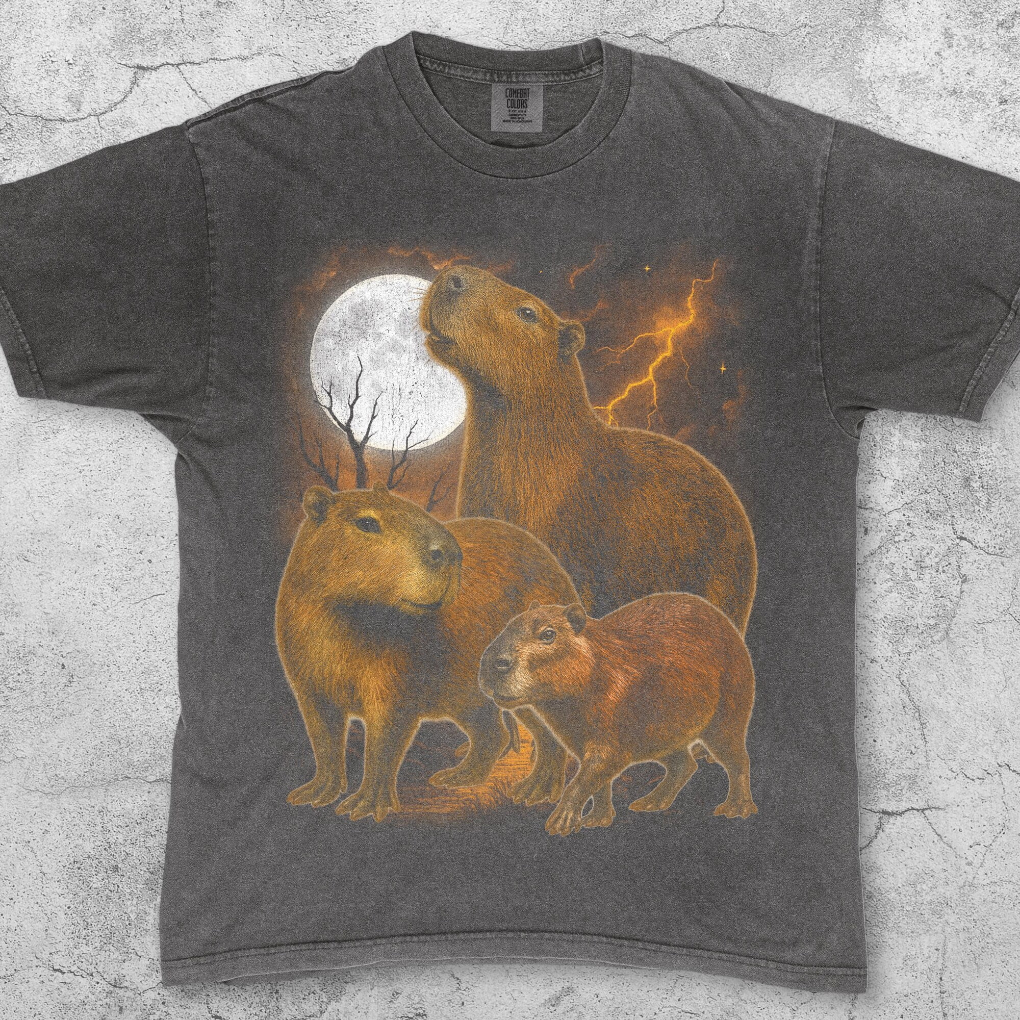 Capybara 90s TShirt Retro Moon Capybaras Graphic Tee Naturecore ...
