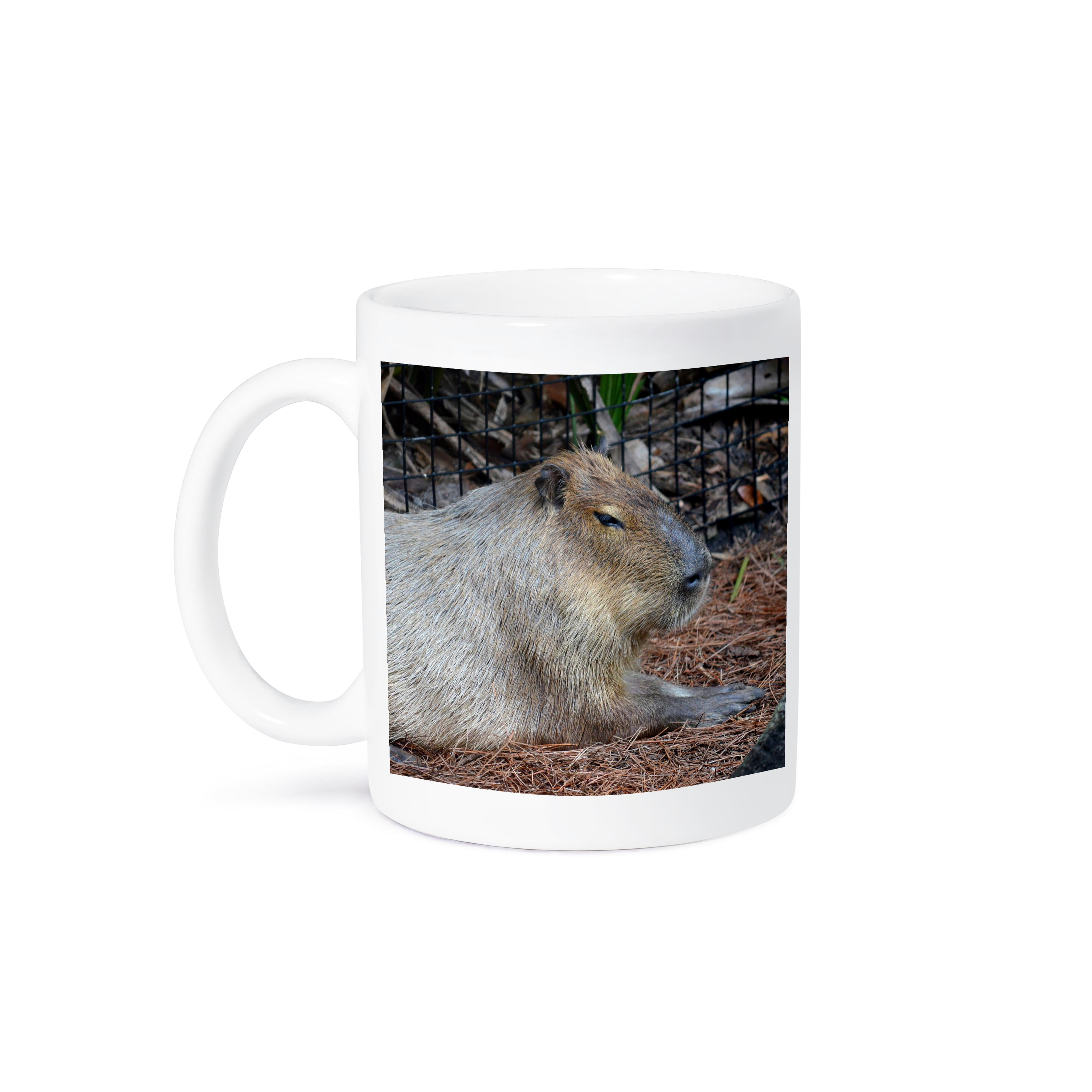 3dRose, Capybara Animal Side View , 11oz Mug - Walmart.com
