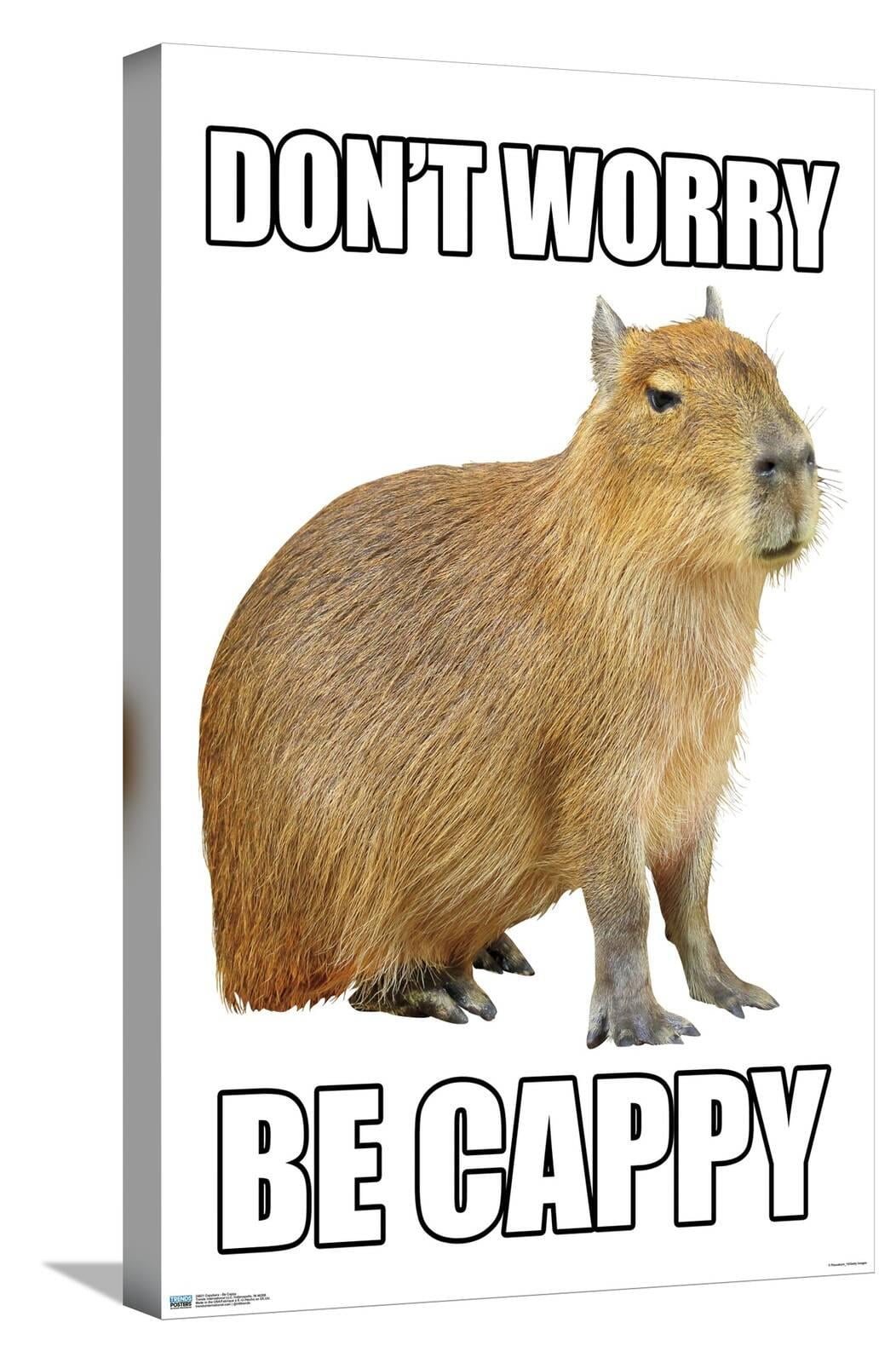 Capybara - Be Cappy Canvas Wall Poster, 14.725" x 22.375" - Walmart.com