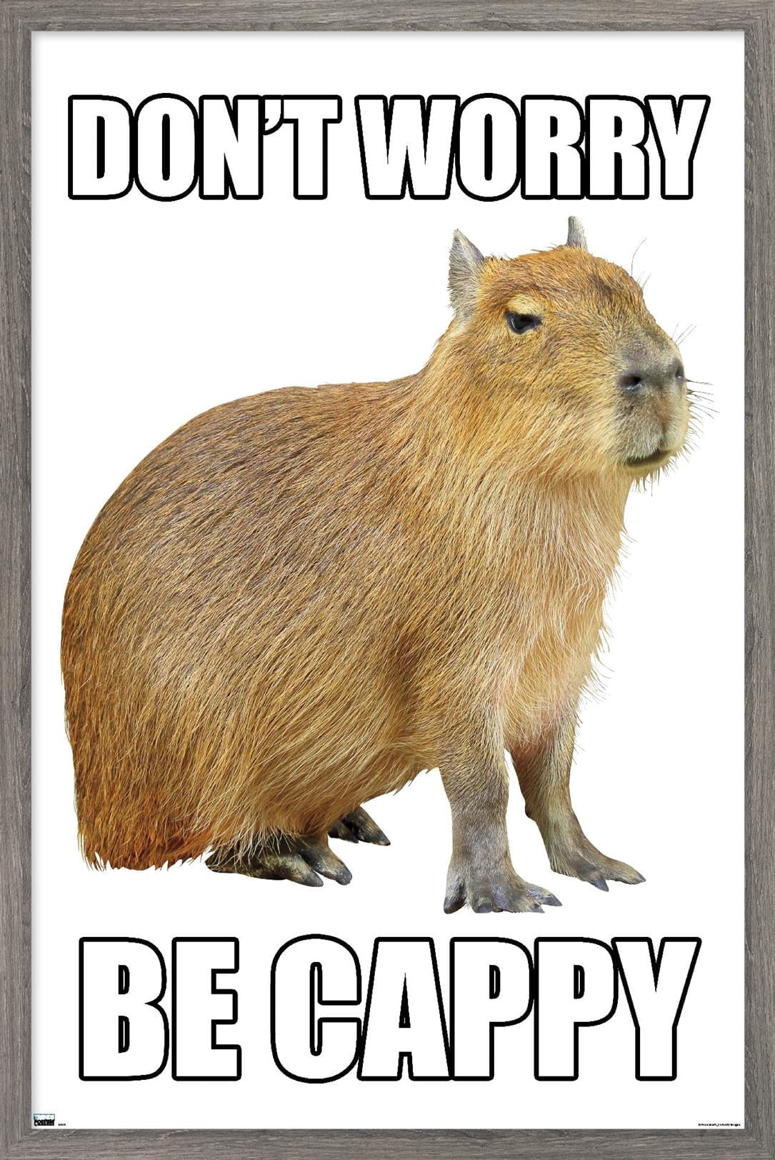 Capybara - Be Cappy Wall Poster, 14.725" x 22.375" Framed - Walmart.com