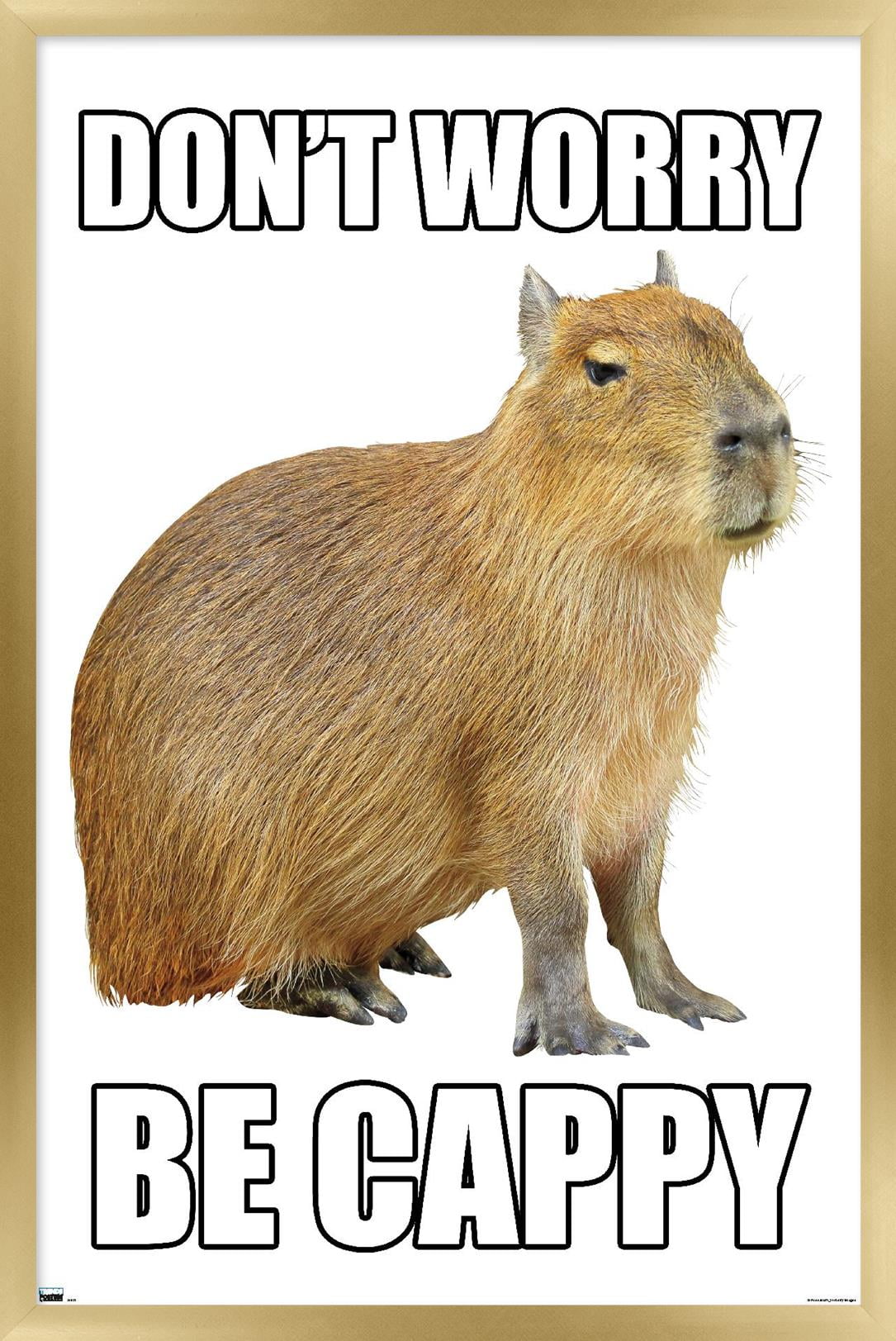 Capybara - Be Cappy Wall Poster, 22.375" x 34" Framed - Walmart.com