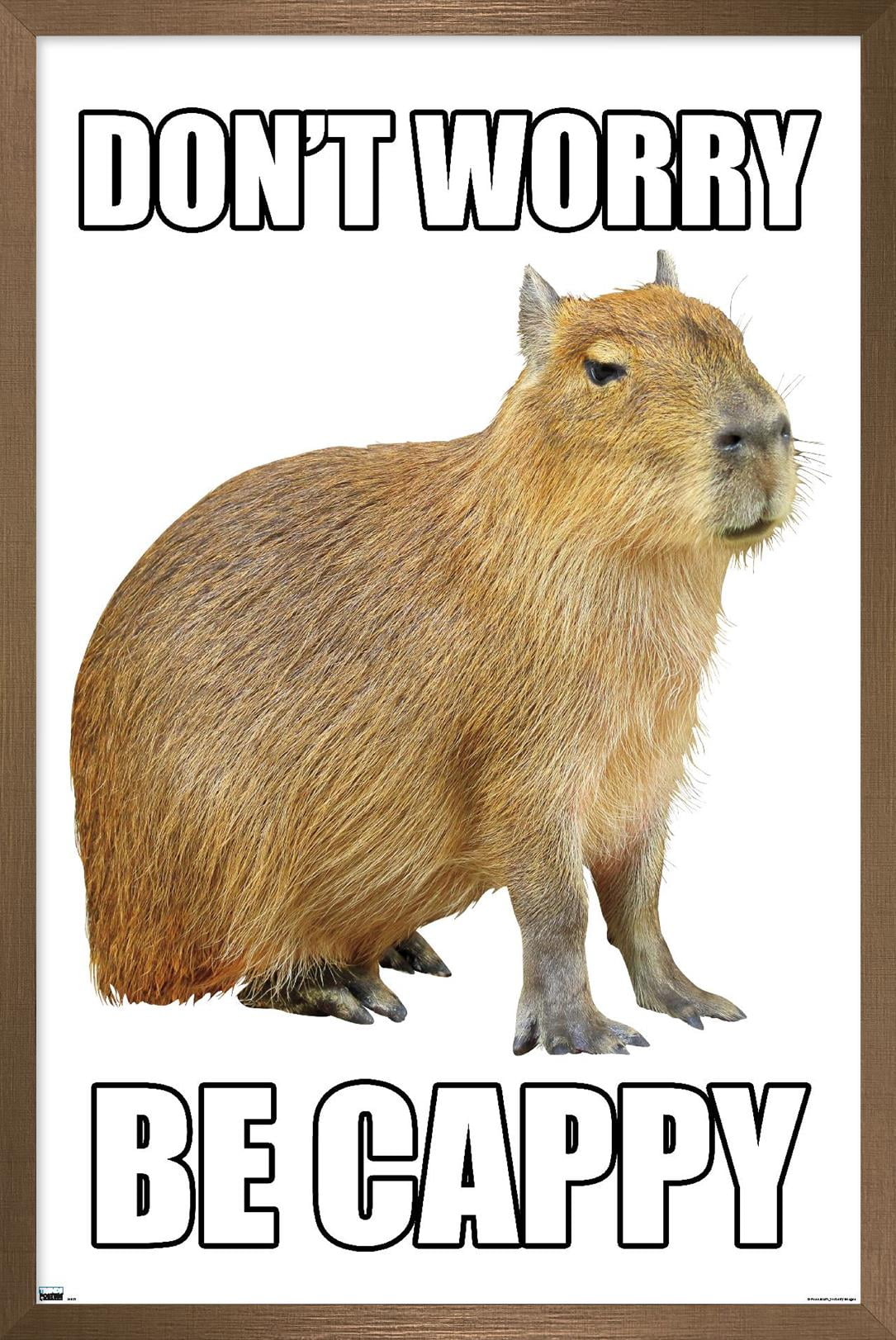 Capybara - Be Cappy Wall Poster, 22.375" x 34" Framed - Walmart.com