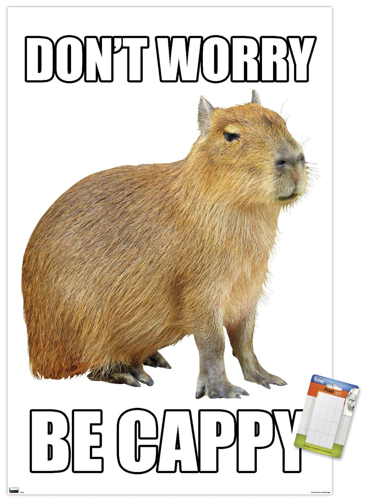 Capybara - Pull Up Wall Poster, 22.375" x 34" - Walmart.com