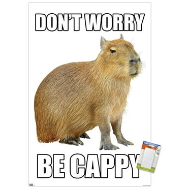 Avatar: The Legend of Korra - Group Wall Poster with Pushpins, 22.375 ...