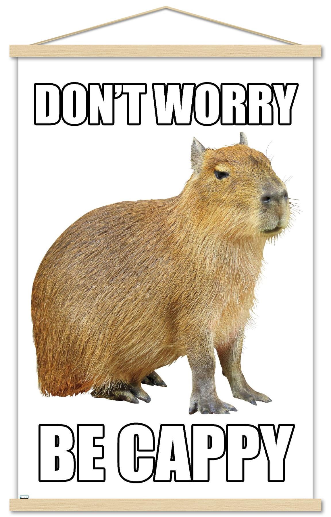 Capybara - Be Cappy Wall Poster with Magnetic Frame, 22.375" x 34 ...
