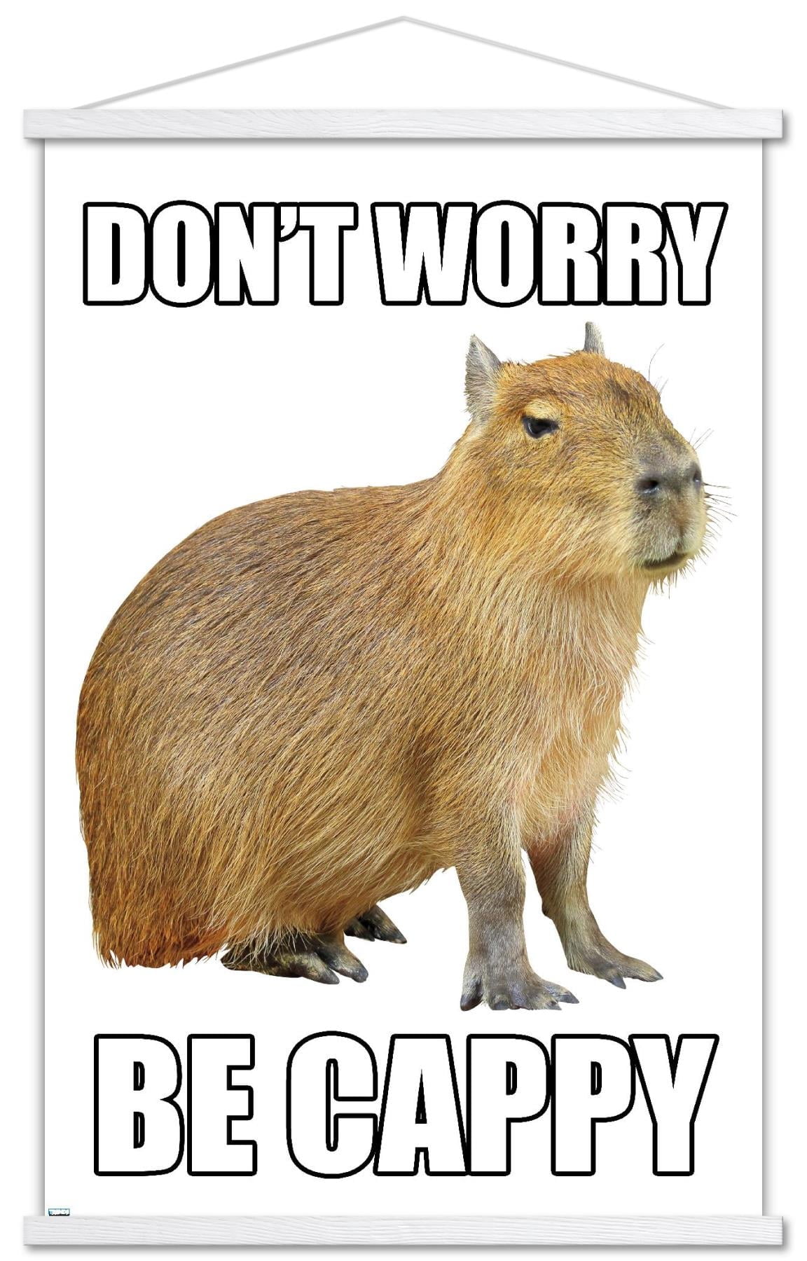 Capybara - Be Cappy Wall Poster with Magnetic Frame, 22.375" x 34 ...