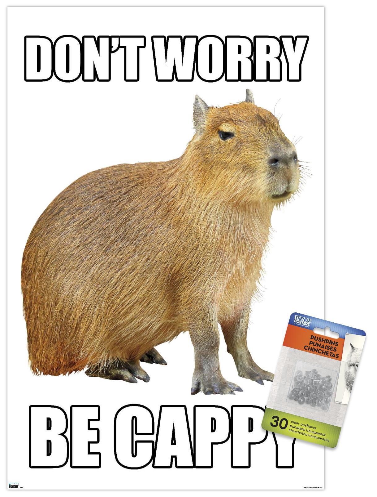 Capybara - Be Cappy Wall Poster with Push Pins, 14.725" x 22.375 ...