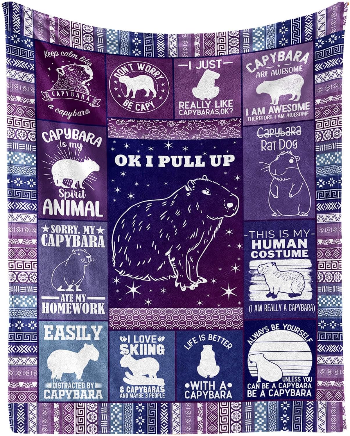 Capybara Blanket for Boys Girls, Cute Capybara Themed Design Printed ...
