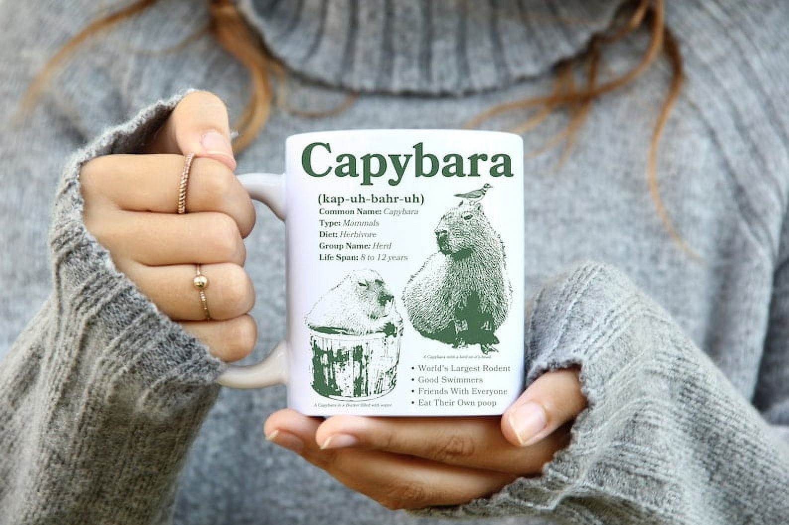 Capybara Coffee Mug, Vintage Inspired Capybara Graphic Mug, Trending ...
