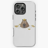 Capybara Cute Cartoon Illustration iPhone Case 17 11 12 13 14 15 16 Pro ...