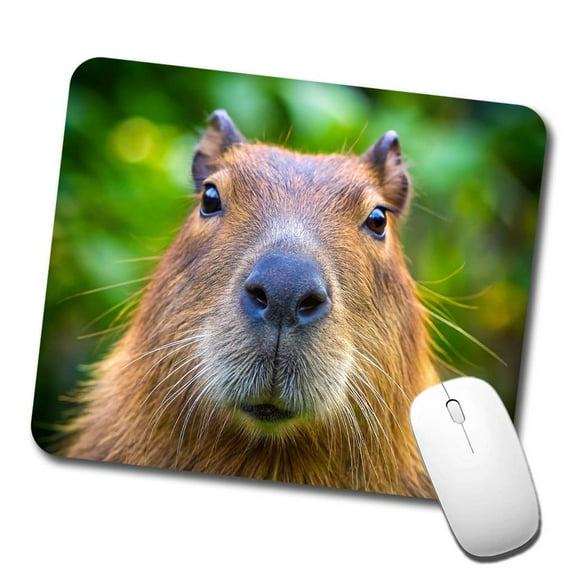 Capybara Face Mouse Pad Low Profile Gaming Mat - Walmart.com