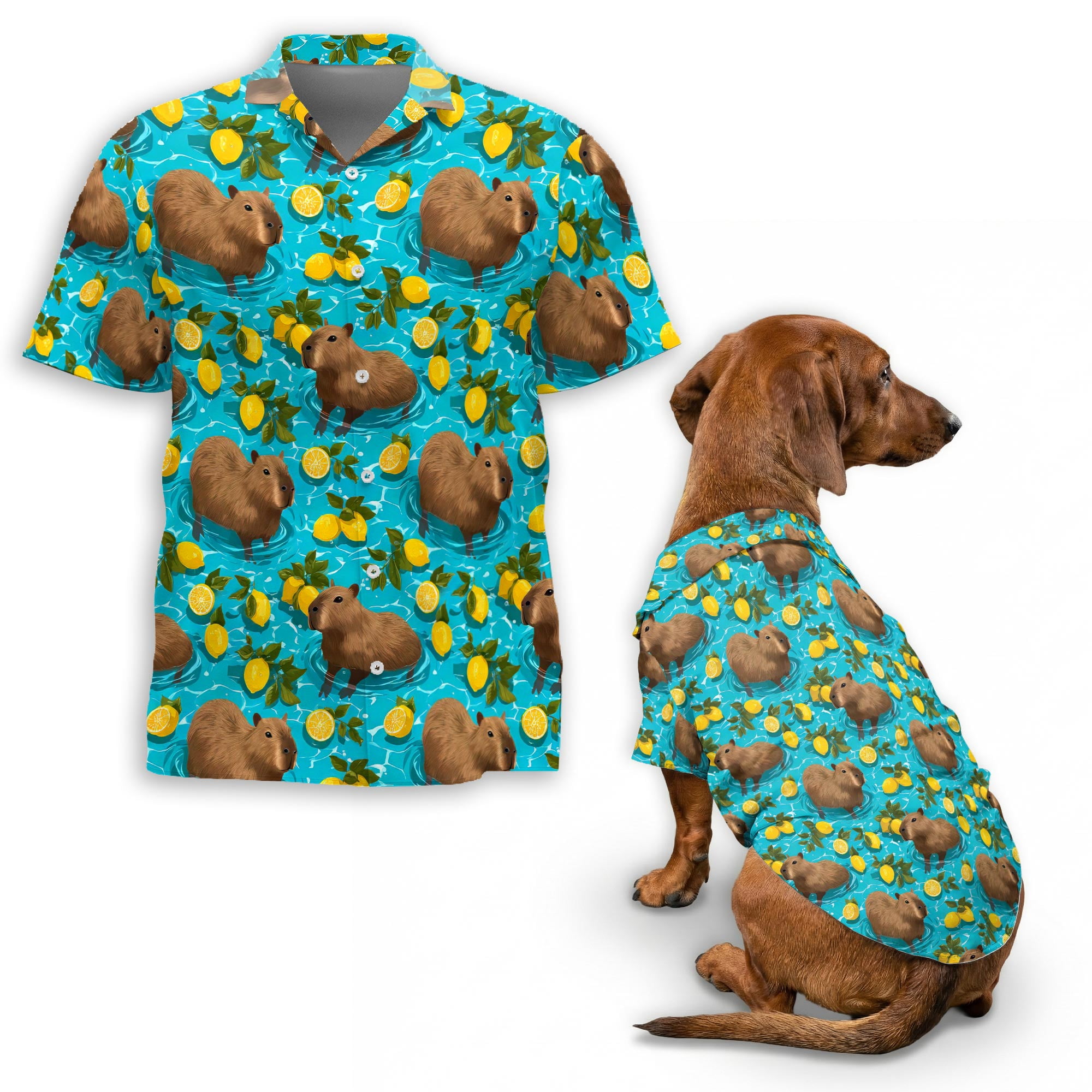 Capybara Hawaiian Shirt for Men and Dogs, Cute Animal Summer Beach ...