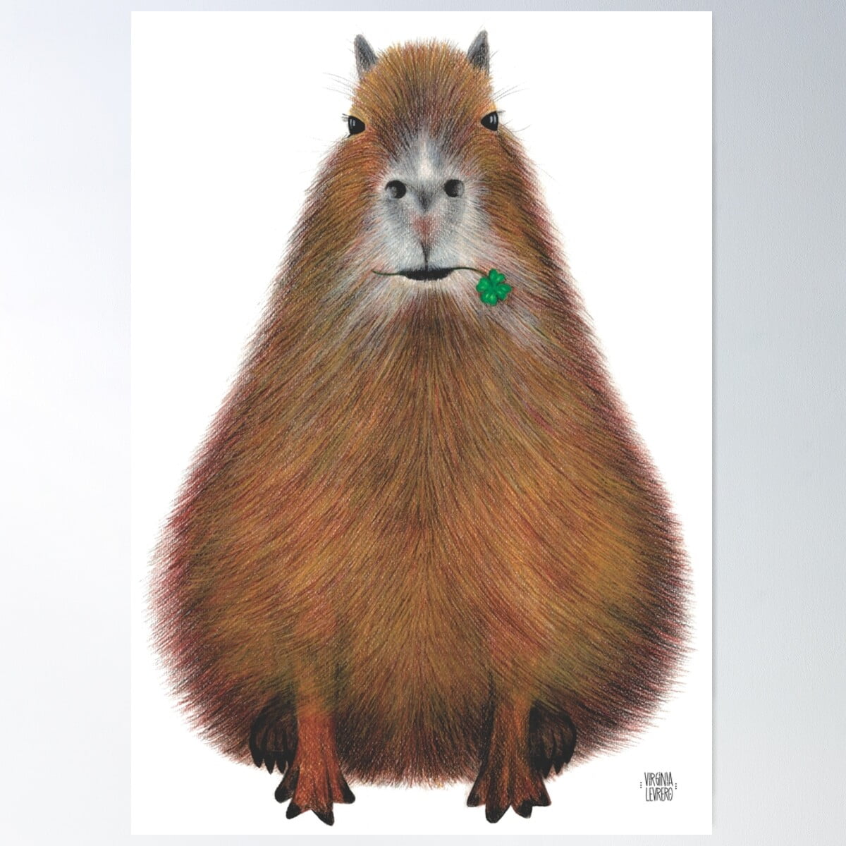 Capybara High Quality, Hand Made Illustration Poster Wall Art, Modern ...