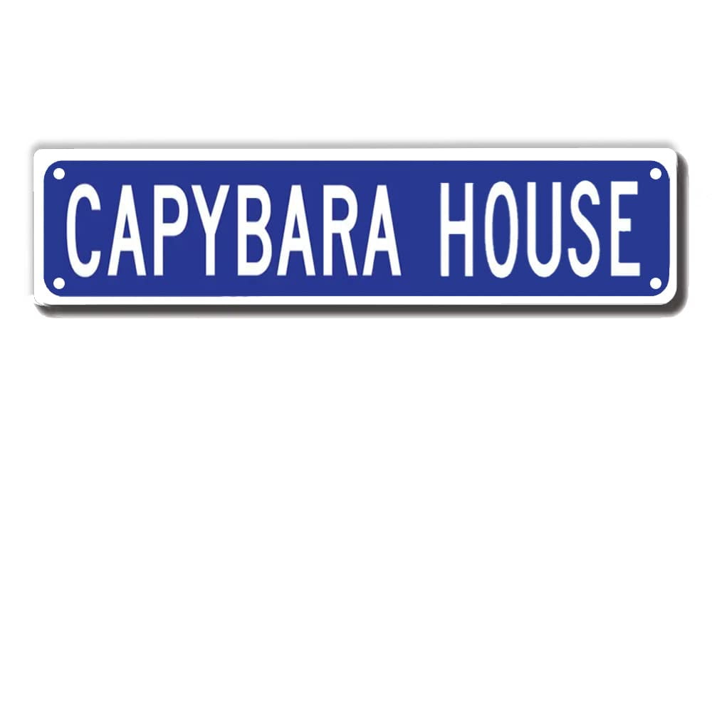 Capybara House Sign Metal Tin Sign Size: 4 x 16 Inch - Walmart.com