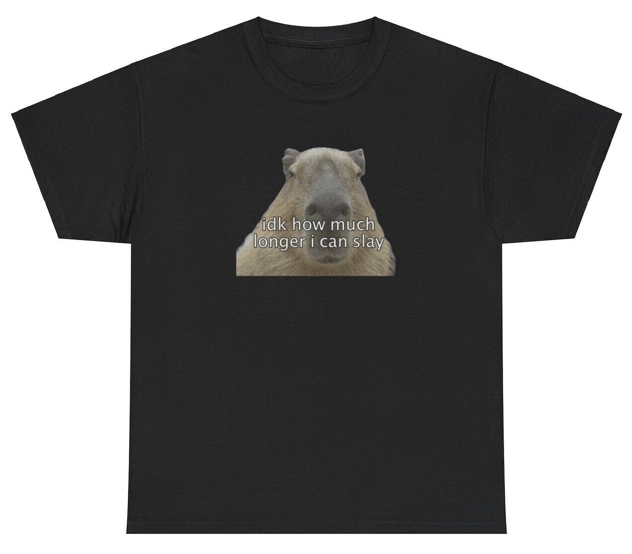 Capybara Idk How Much Longer I Can Slay T Shirt Funny Silly Gen Z Lover ...