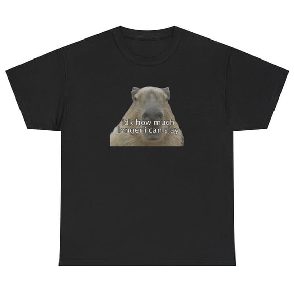Capybara Idk How Much Longer I Can Slay T Shirt Funny Silly Gen Z Lover ...