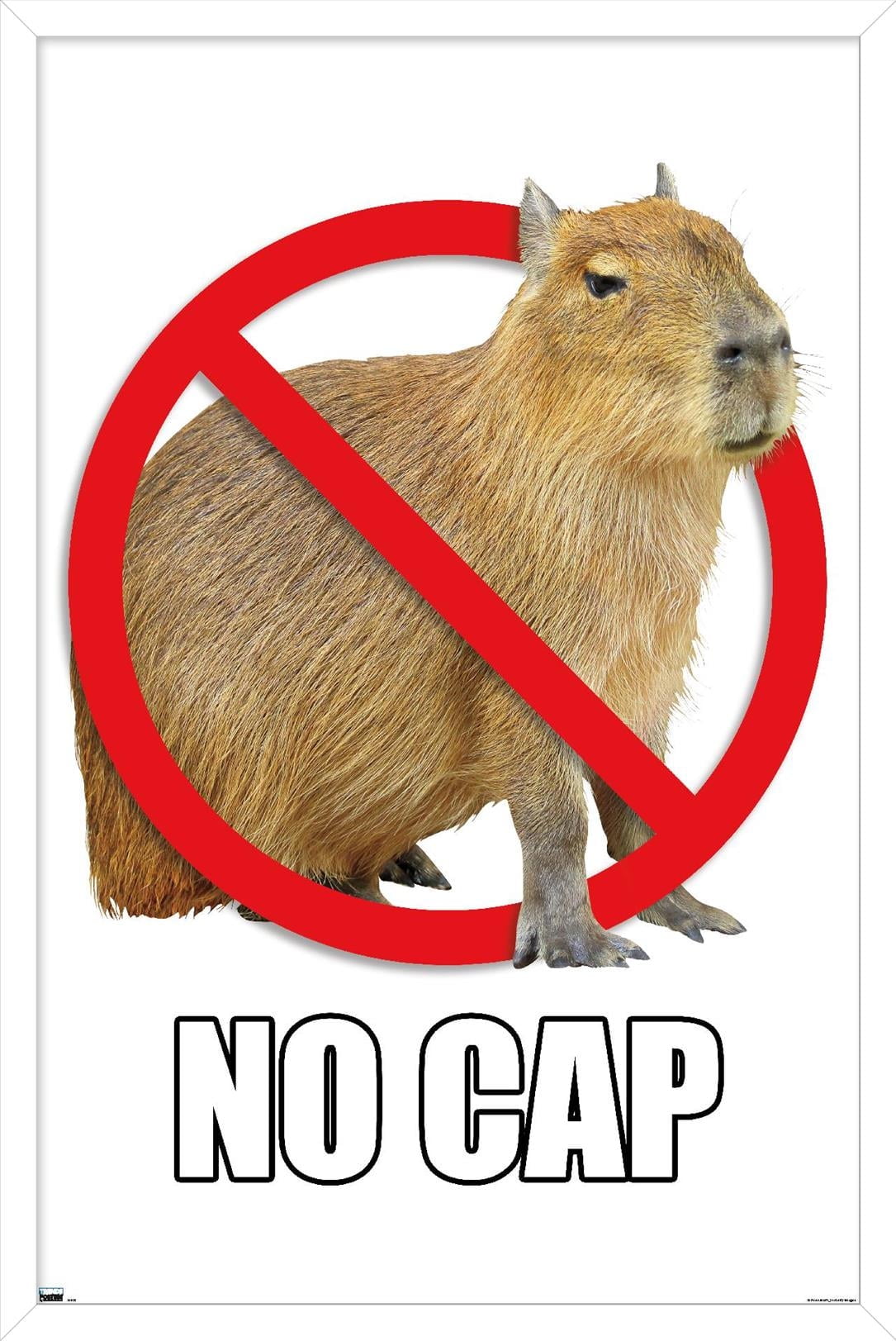 Capybara - No Cap Wall Poster, 22.375" x 34" Framed - Walmart.com