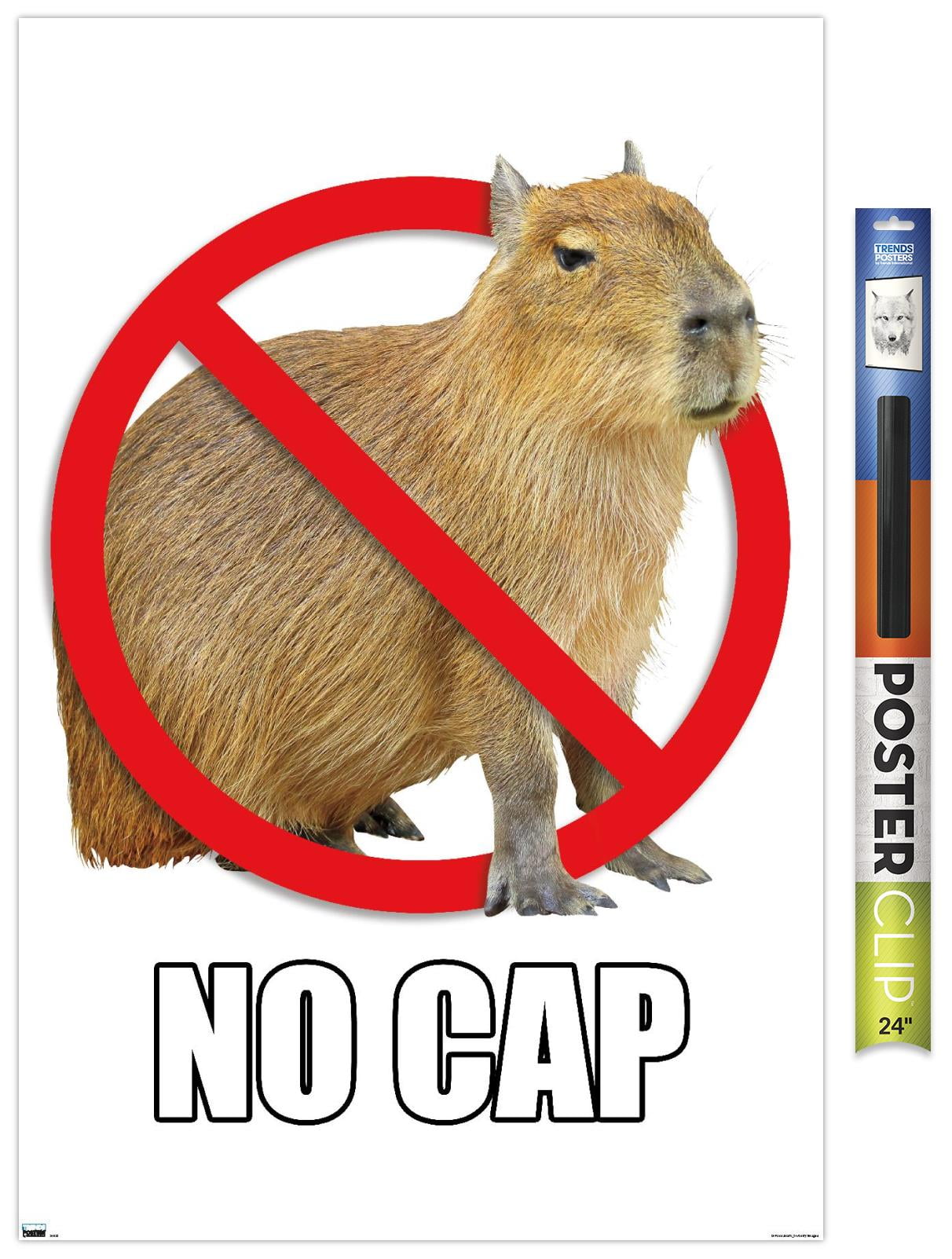 Capybara - No Cap Wall Poster, 22.375" x 34" - Walmart.com
