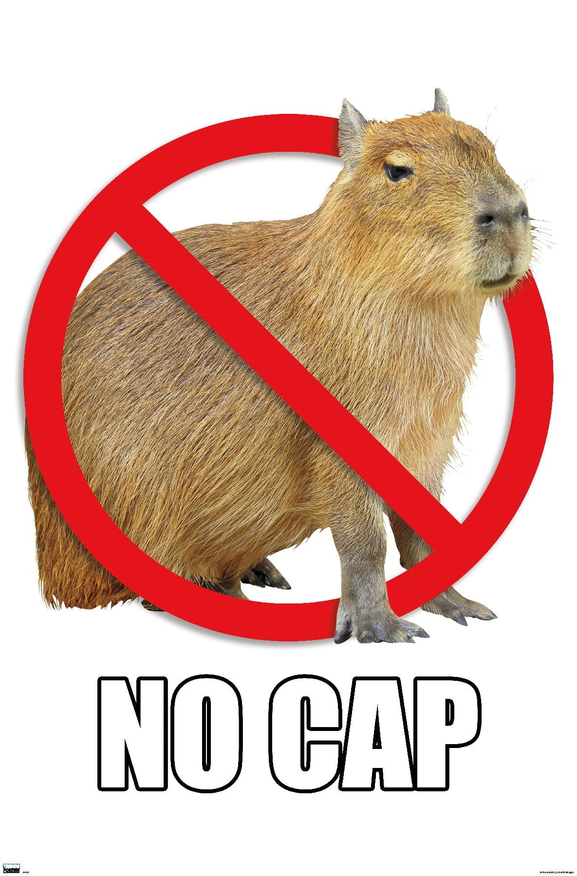 Capybara - No Cap Wall Poster, 22.375" x 34" - Walmart.com