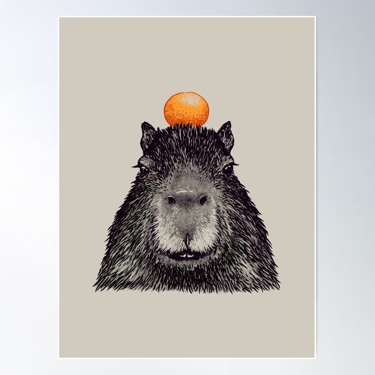 Capybara Orange | Capy Yuzu | Capybara With Orange On Head | His Name ...