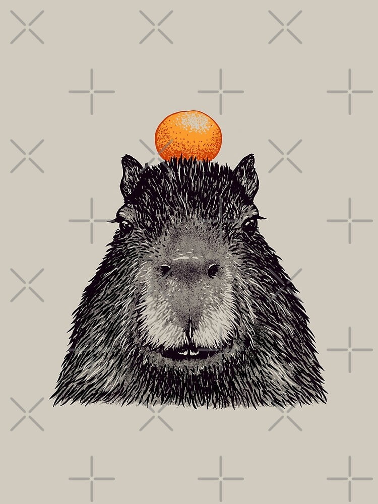 Capybara Orange | Capy Yuzu | Capybara with Orange on Head | His Name ...
