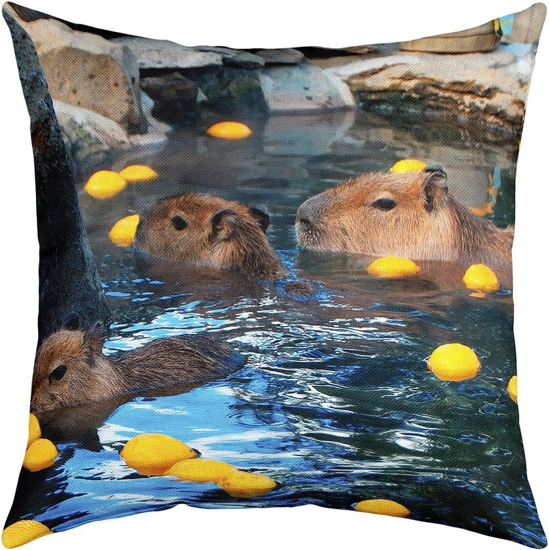 Capybara Pillow Cover for Bed Couch, Funny Capybaras Throw Pillow Cover ...