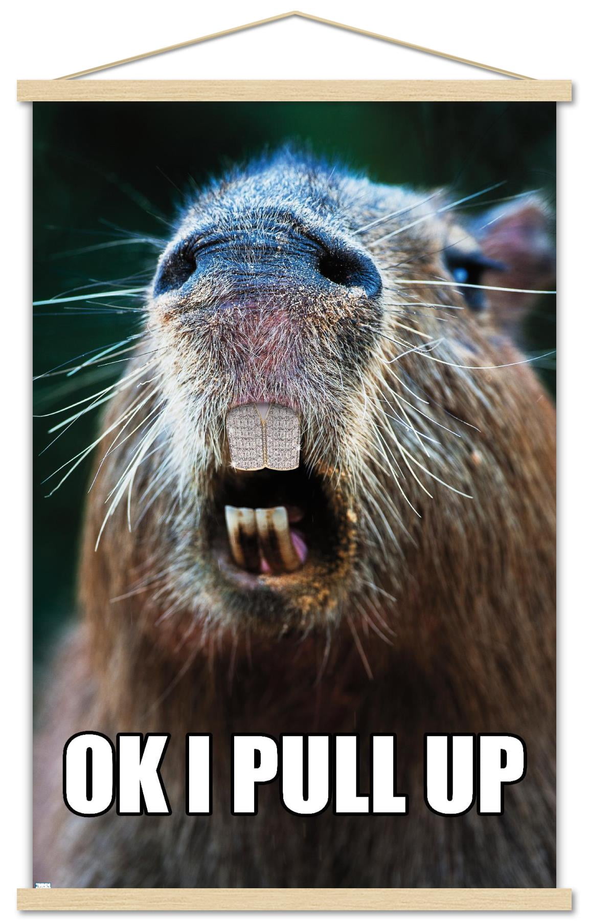 Capybara - Pull Up Wall Poster with Magnetic Frame, 22.375" x 34 ...