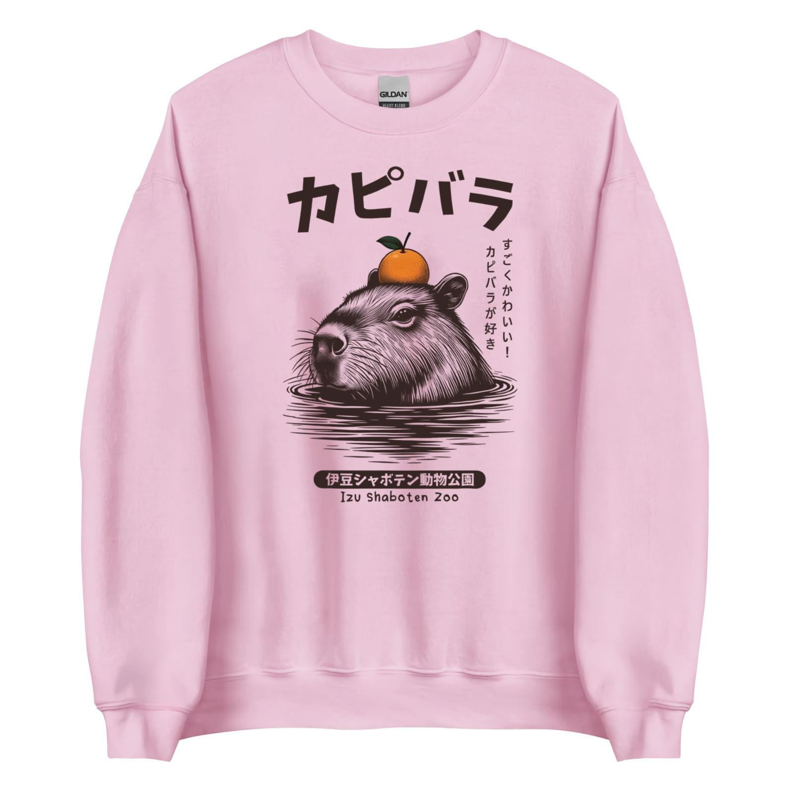 Capybara Shirt, Capybara With Orange, Capybara Hot Spring, Capybara ...