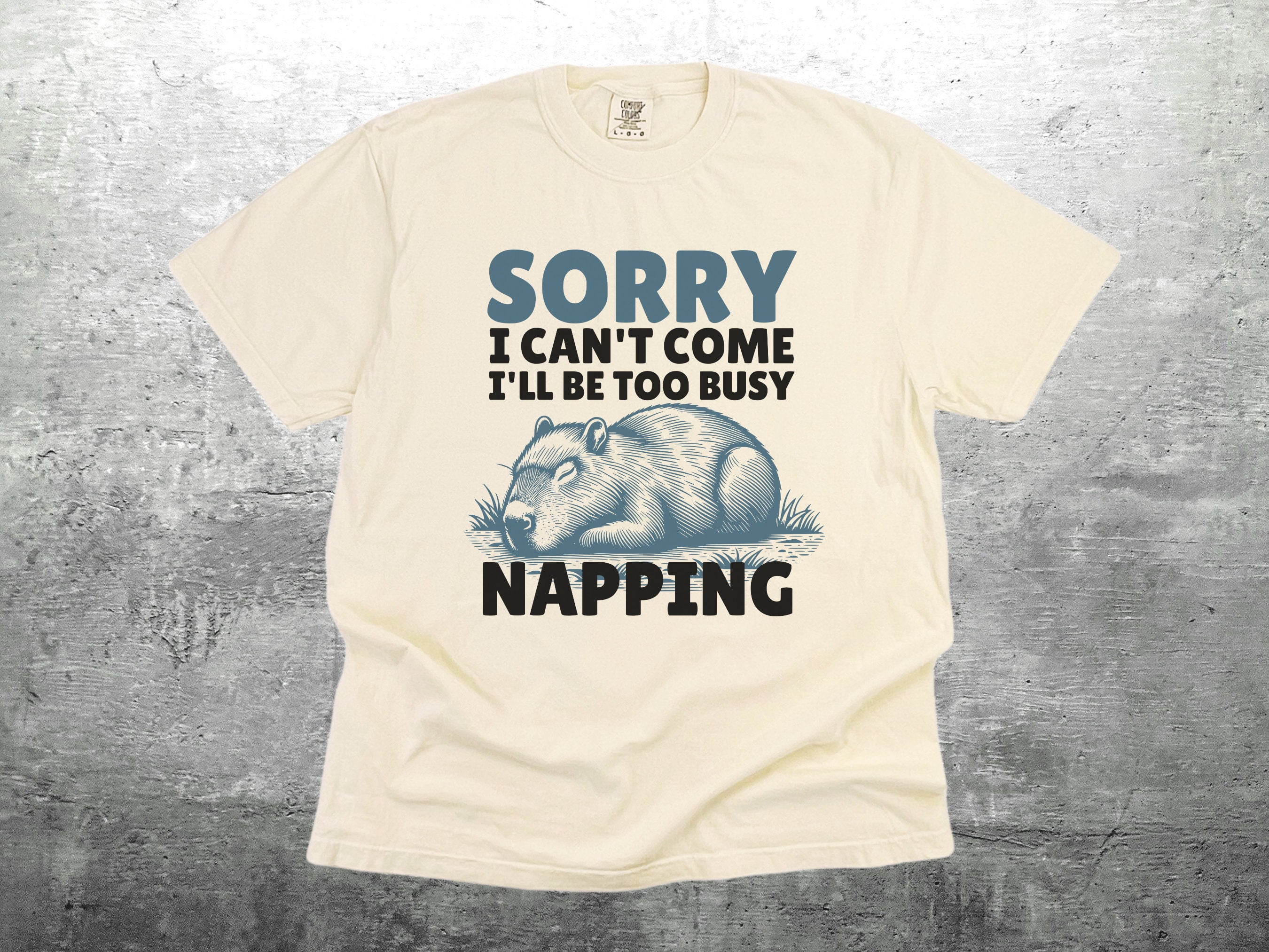 Capybara Shirt, T-Shirt, Funny Animal Shirt, Meme Shirt, Introvert Gift ...