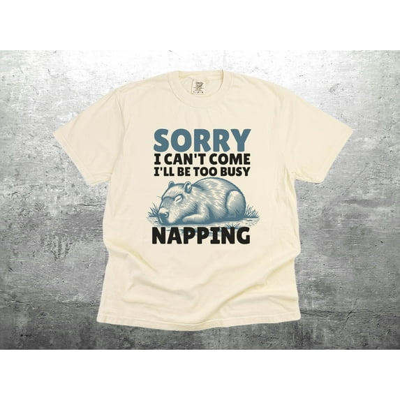 Capybara Shirt, T-Shirt, Funny Animal Shirt, Meme Shirt, Introvert Gift ...