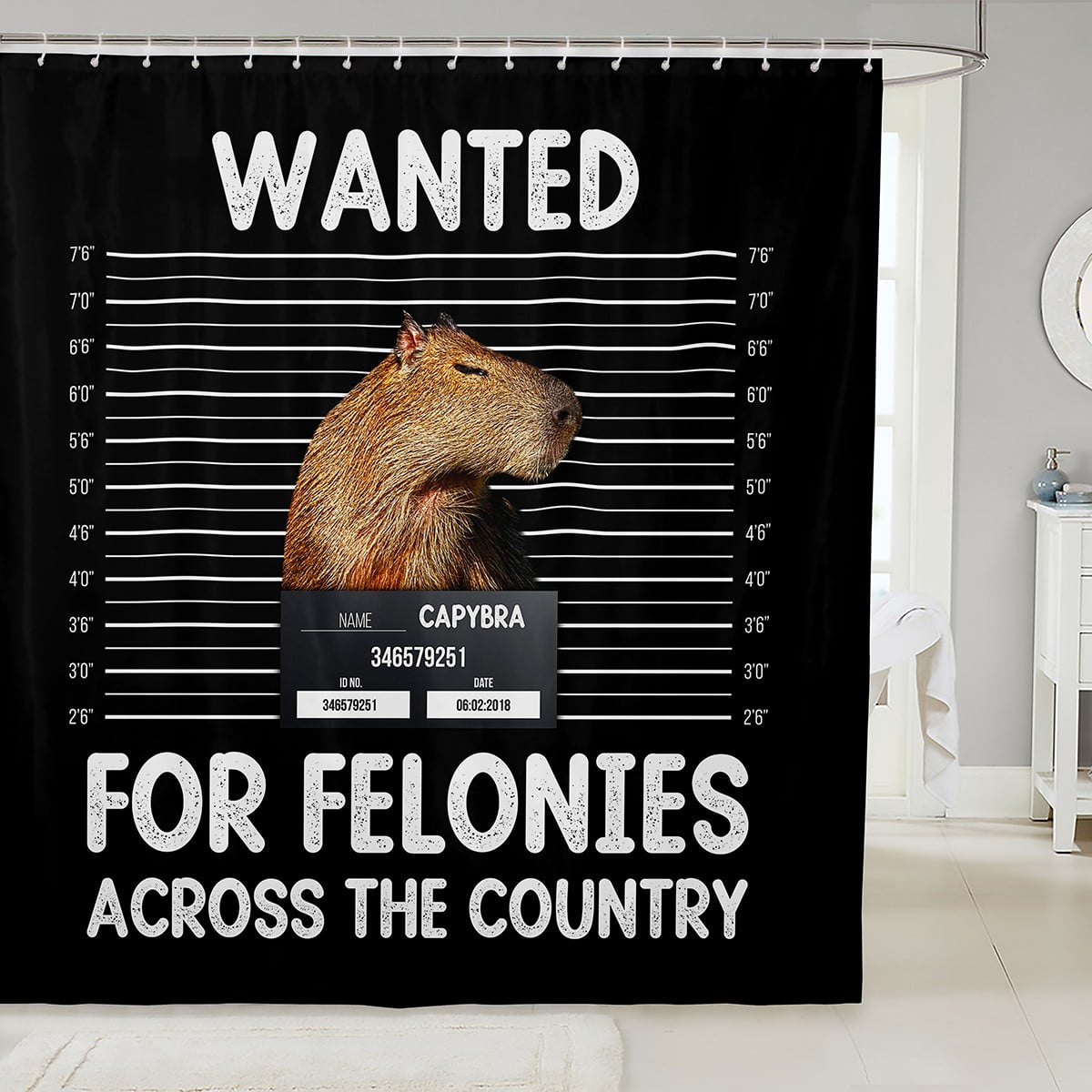 Capybara Shower Curtain Wild Animal Capybara Curtains Gifts for ...