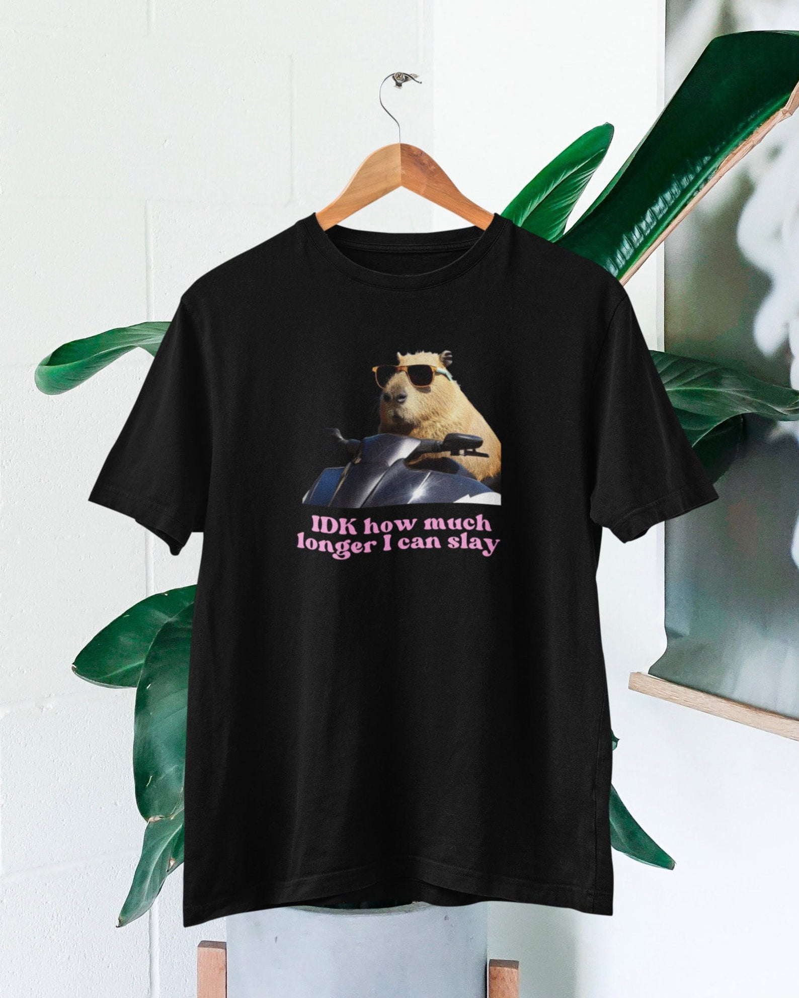 Capybara Slay T Shirt, Funny T Shirt, Meme T Shirt, Trending Animal Fan ...