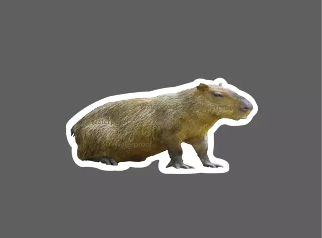 Capybara Sticker Animals Waterproof Sticker Phone Decal Water Bottle Stickers Car Decals, Laptop ...