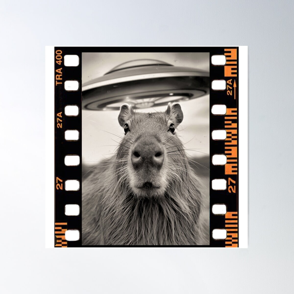 Capybara Ufo Poster Wall Art, Modern Wall Decor For Living Room Bedroom ...