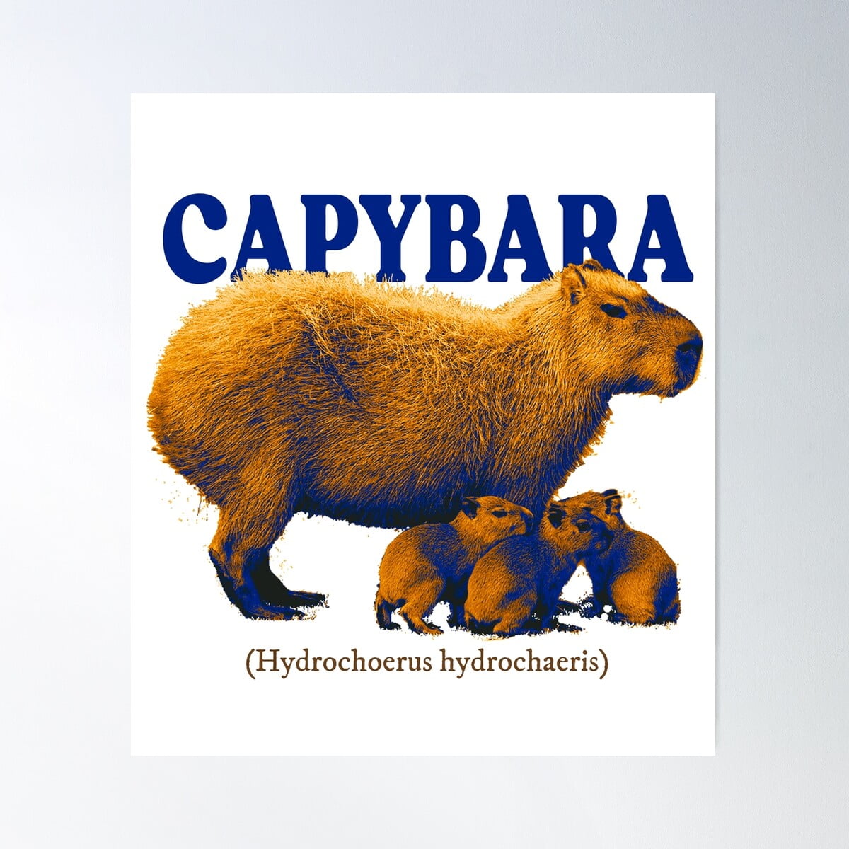 Capybara Vintage Illustration Poster Wall Art, Modern Wall Decor For ...