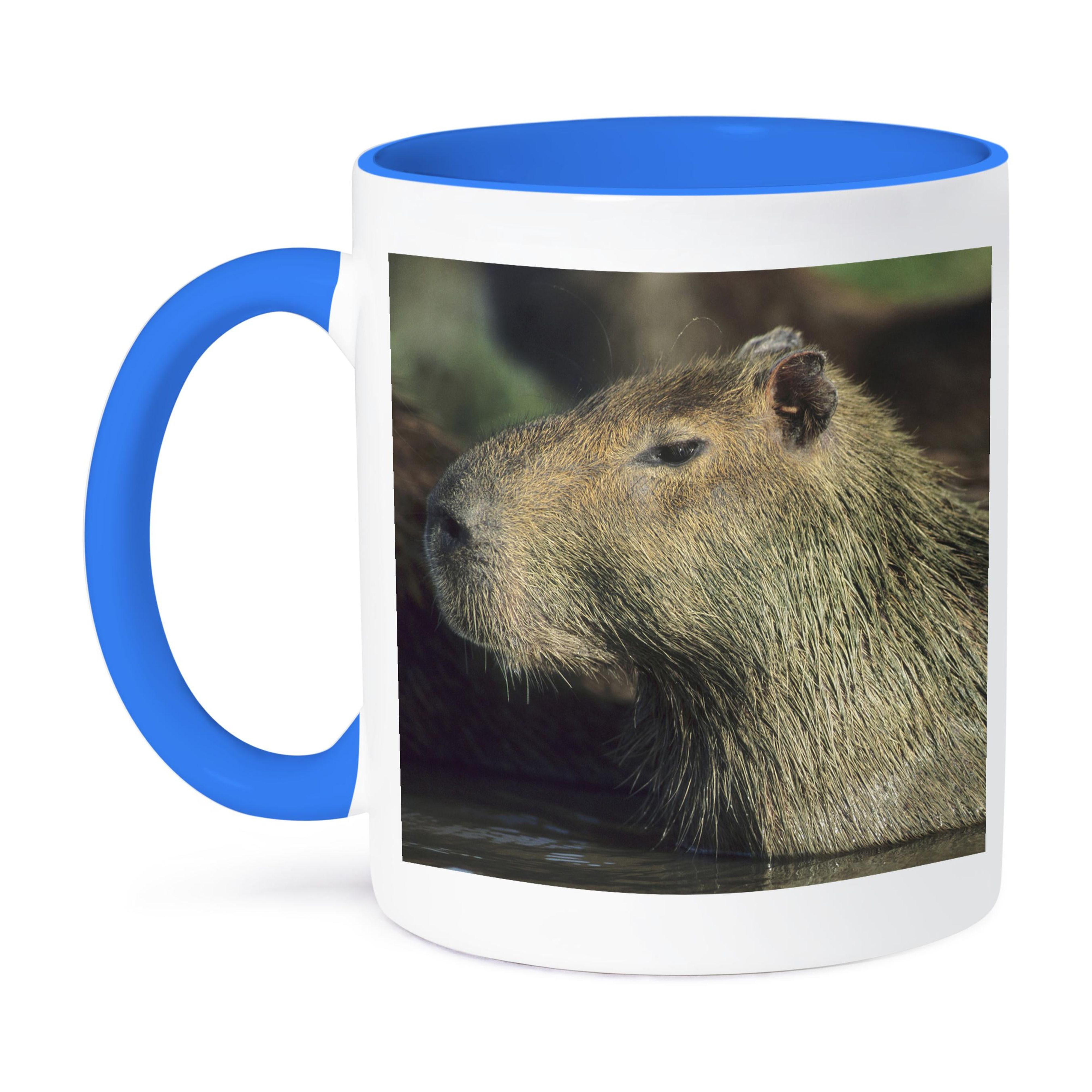 3dRose, Capybara wildlife, Llanos, Venezuela - SA20 KSC0009 - Kevin ...