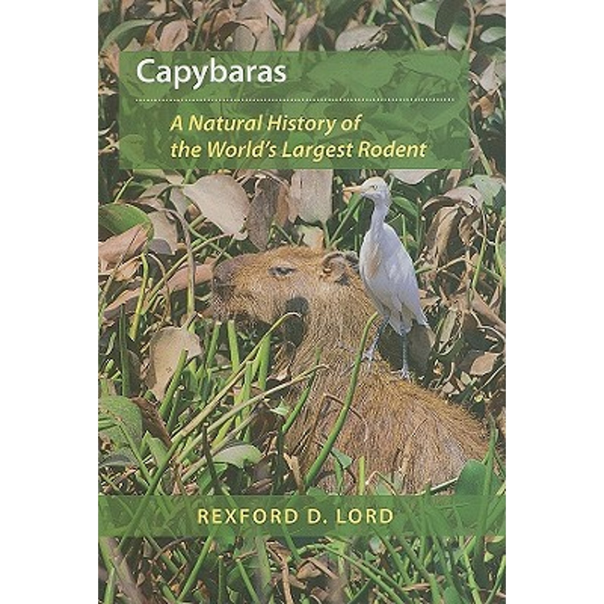 Pre-Owned Capybaras: A Natural History of the World's Largest Rodent ...