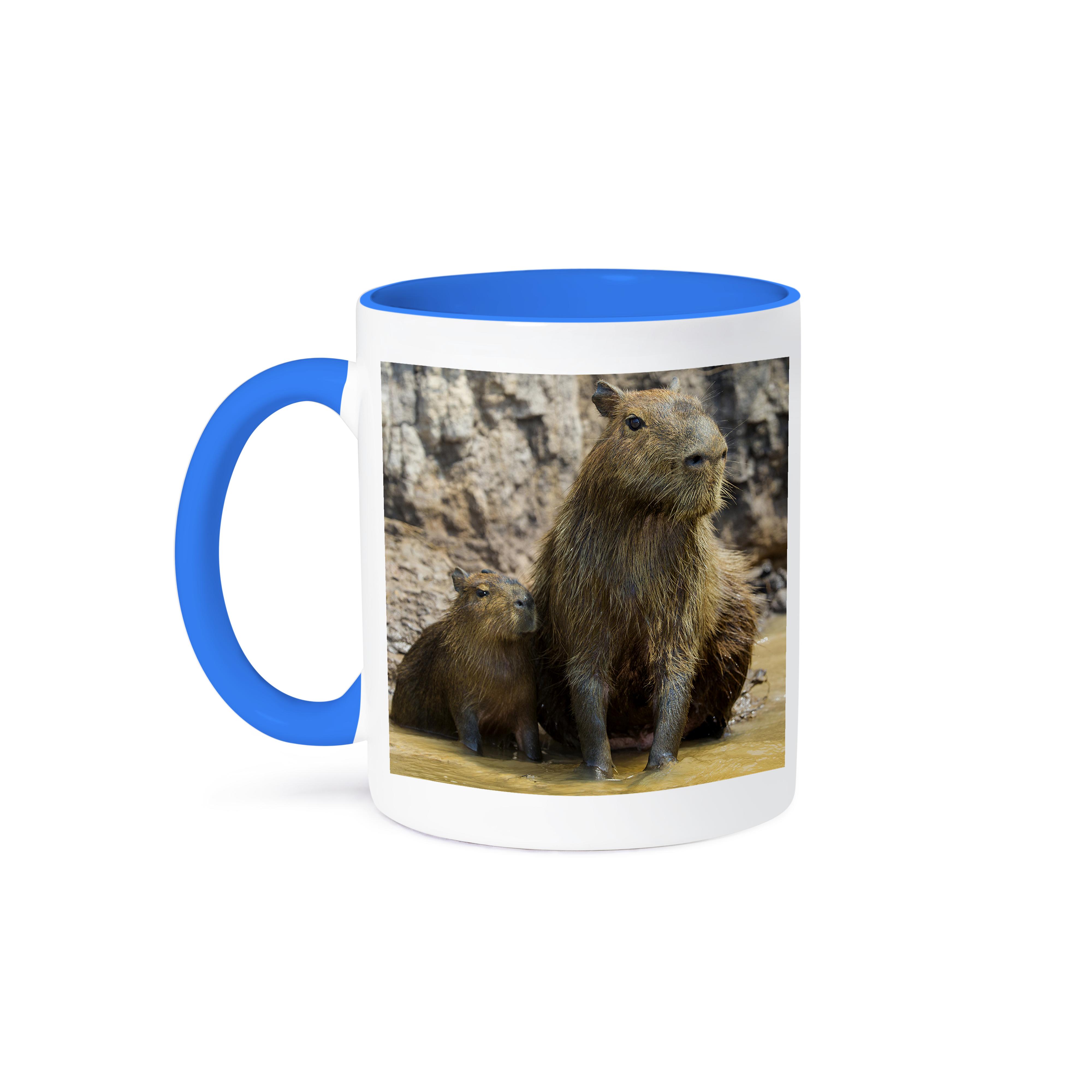 Capybaras Are Rodents Found In The Pantanal, Brazil. With Young., 11oz ...
