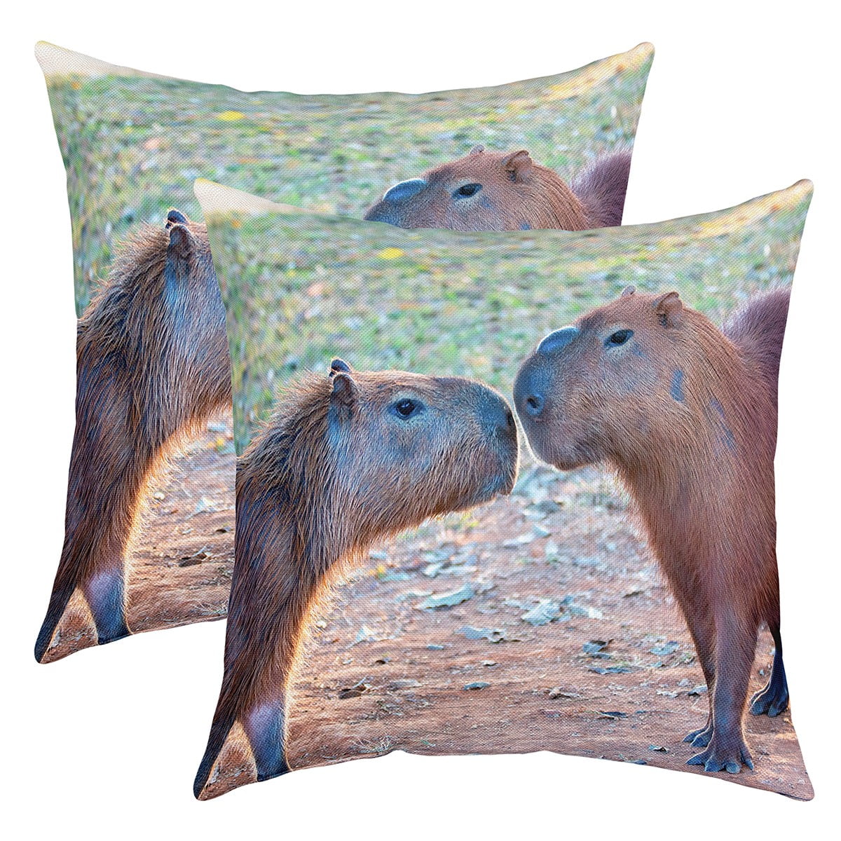 Capybaras Kawaii Throw Pillow Covers for Sofa,Cute Relaxing Capybara ...